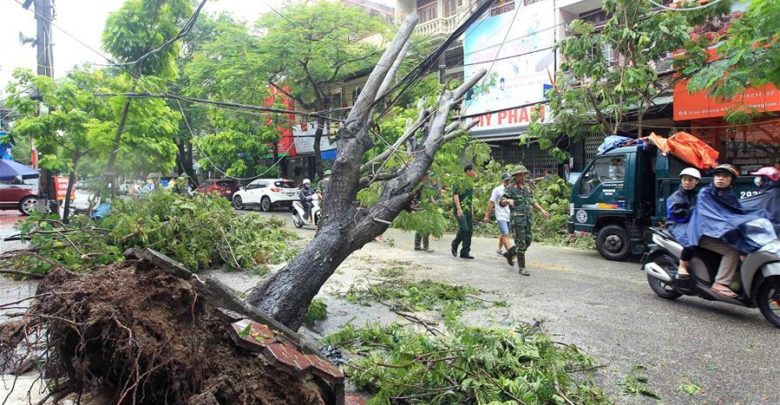Several Dead as Tropical Storm Wipha Slams into Vietnam – VOSA
