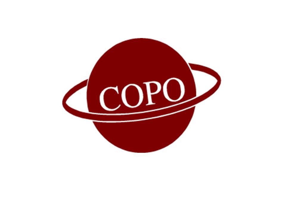 COPO Halal Food Pantry and Halal Meat in Brooklyn, NYC. – VOSA